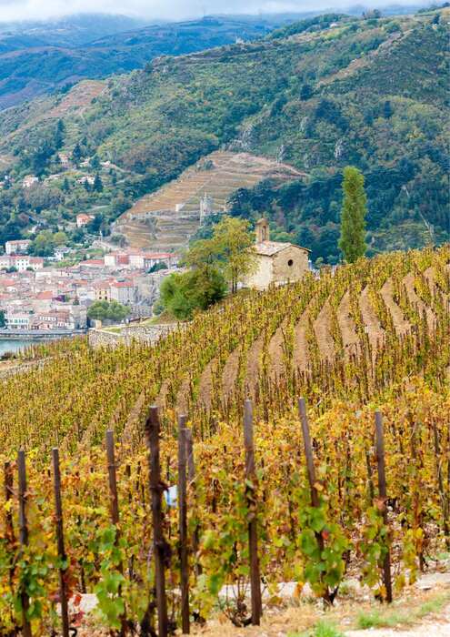 Rhone Valley :: Viti wine tours