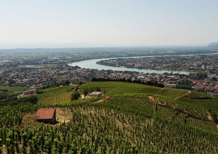 other appellations :: Viti wine tours